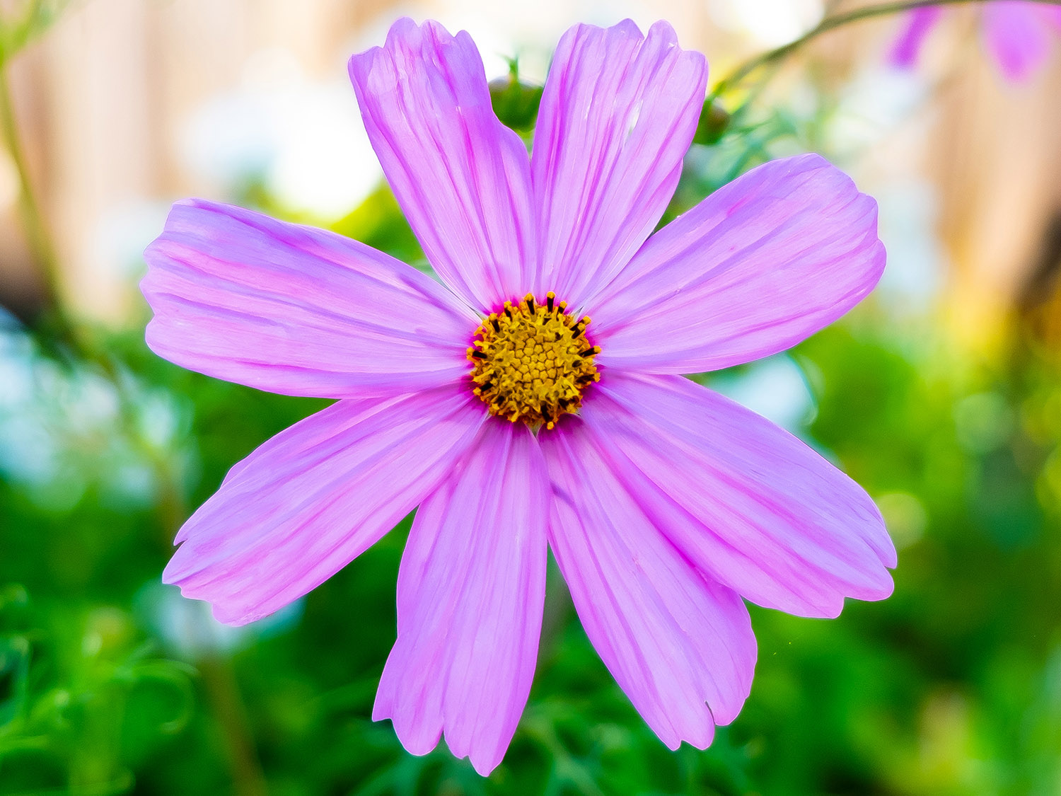 Welcome | Environmentally Well